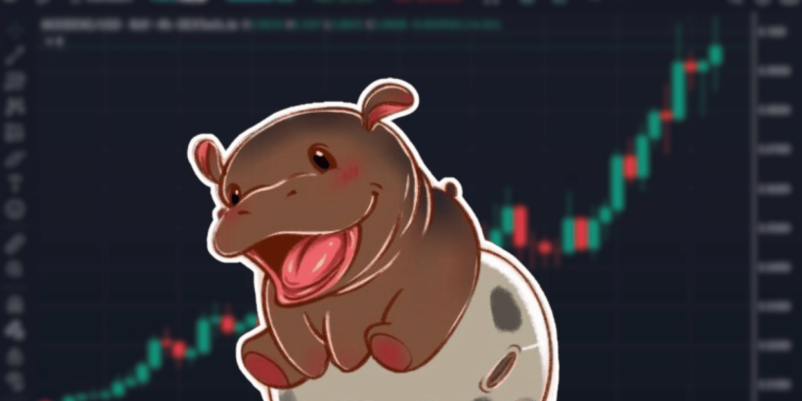 Viral MOODENG Hippo Meme Turns Memecoin, Breaks $100 Million Market Cap ...
