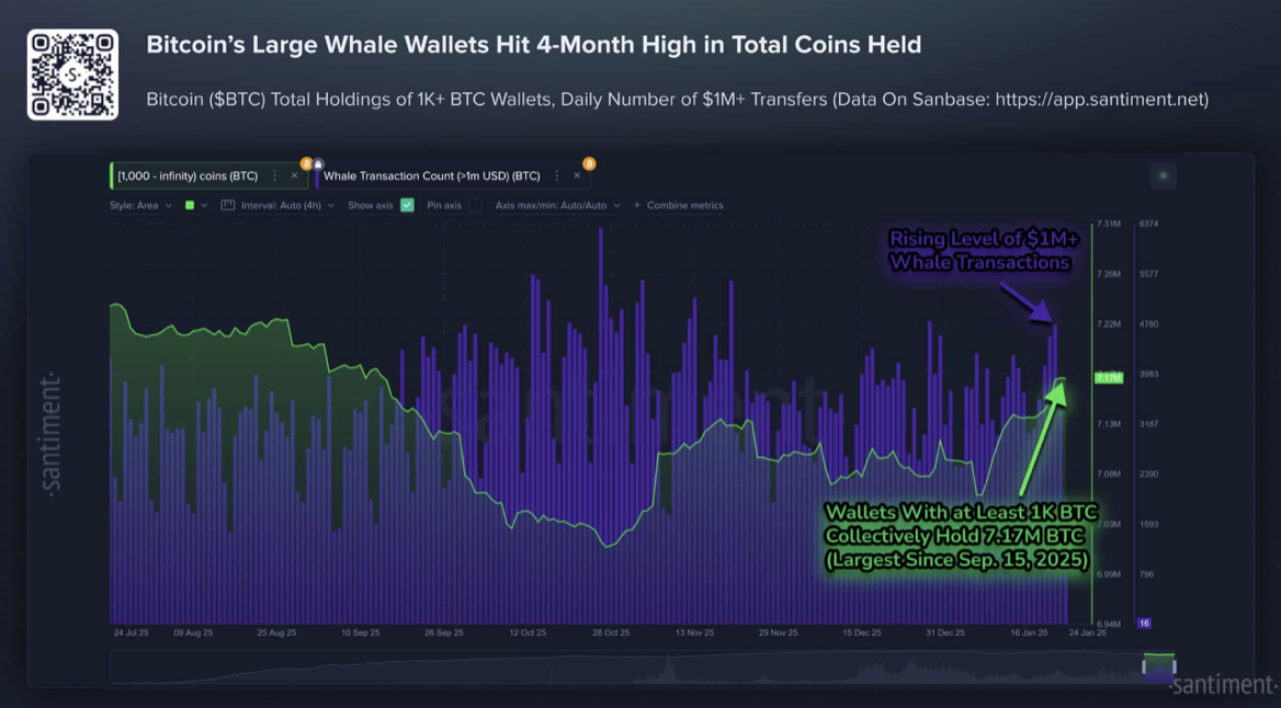 Bitcoin Whales Accumulate as Retail Capitulates – Here Is What On-Chain ...