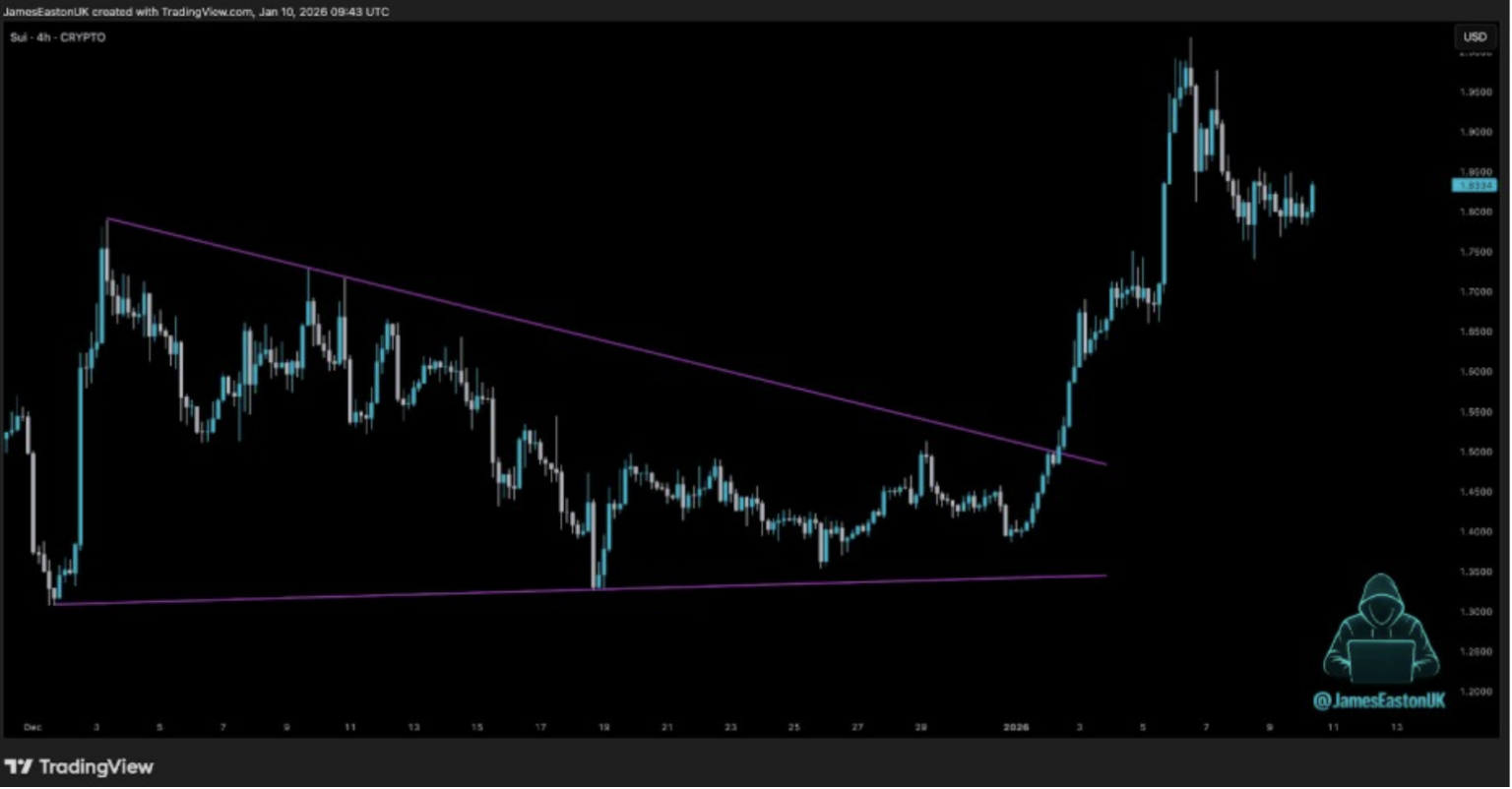 SUI Breaks Long-Term Downtrend as Accumulation Fuels Momentum – Here Is ...